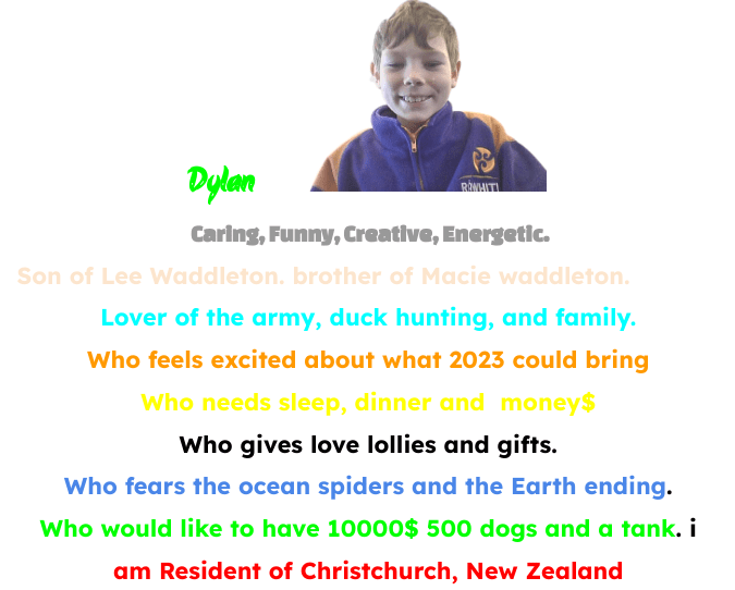 my bio poem – Dylan W @ Rāwhiti School